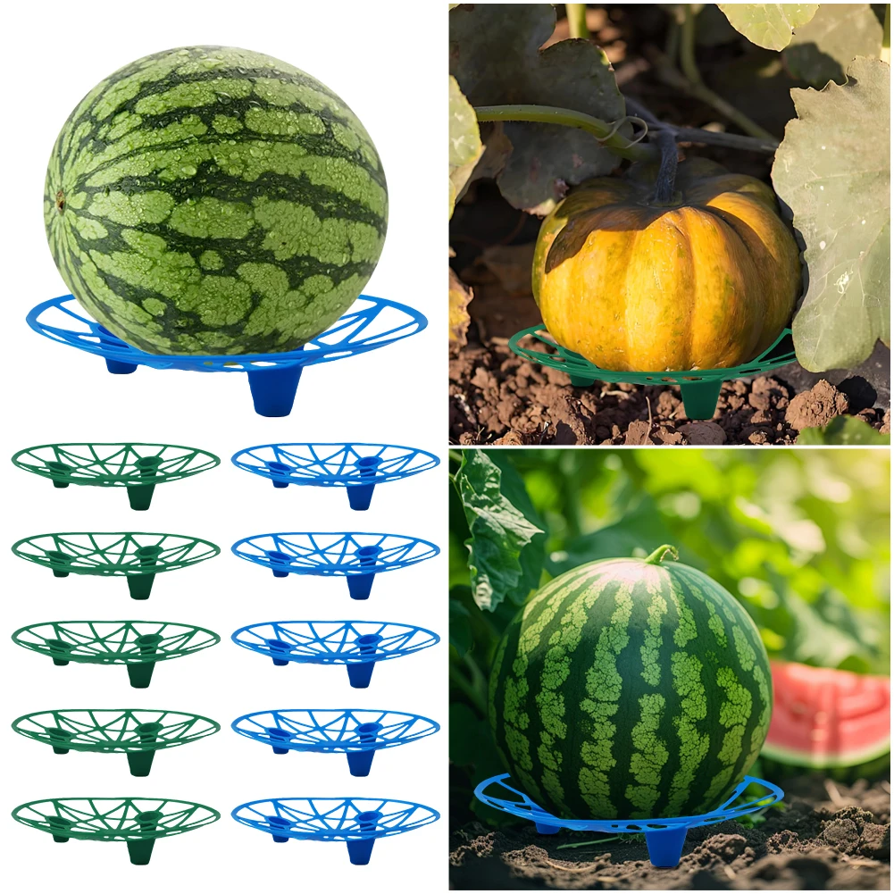 5-10Pcs-Watermelon-Cradle-Anti-Corrosion-Pumpkin-Support-Tray ...