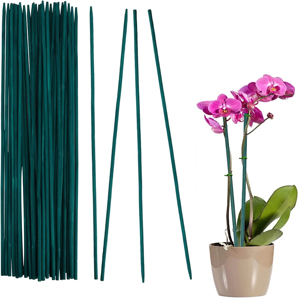 20Pcs Bamboo Green Sticks Plant Support Flower Stick Orchid Rod Plant ...