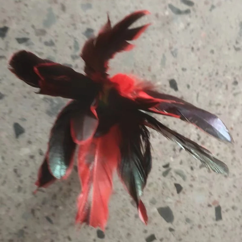 China-Kick-Shuttlecock-Fitness-Entertainment-Footbal-Foot-Kick-Fancy ...