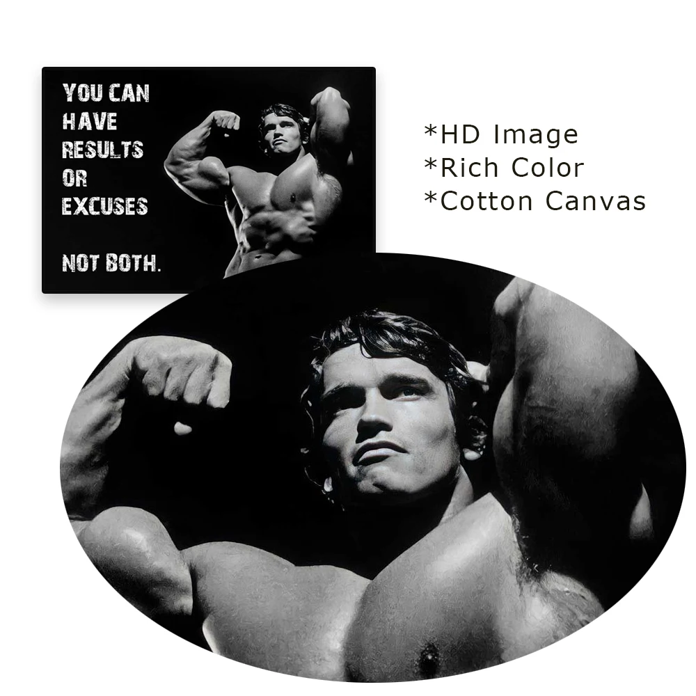 Arnold Schwarzenegger Enjoyment Poster
