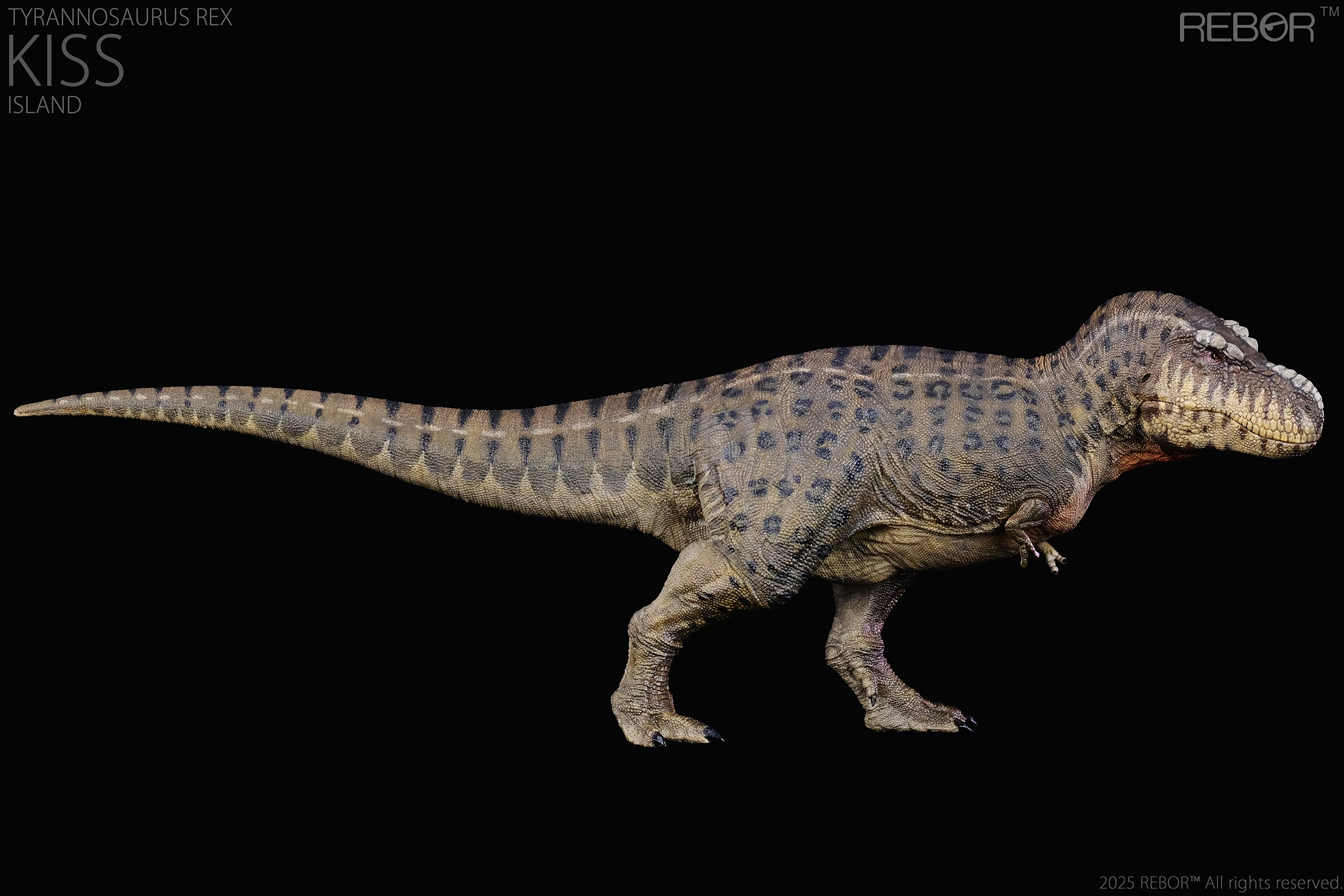 KING T-REX Tyrannosaurus Rex-ティラノサウルス・レックス- 1/35 レプリカ 完成品 フィギュア REBOR ...