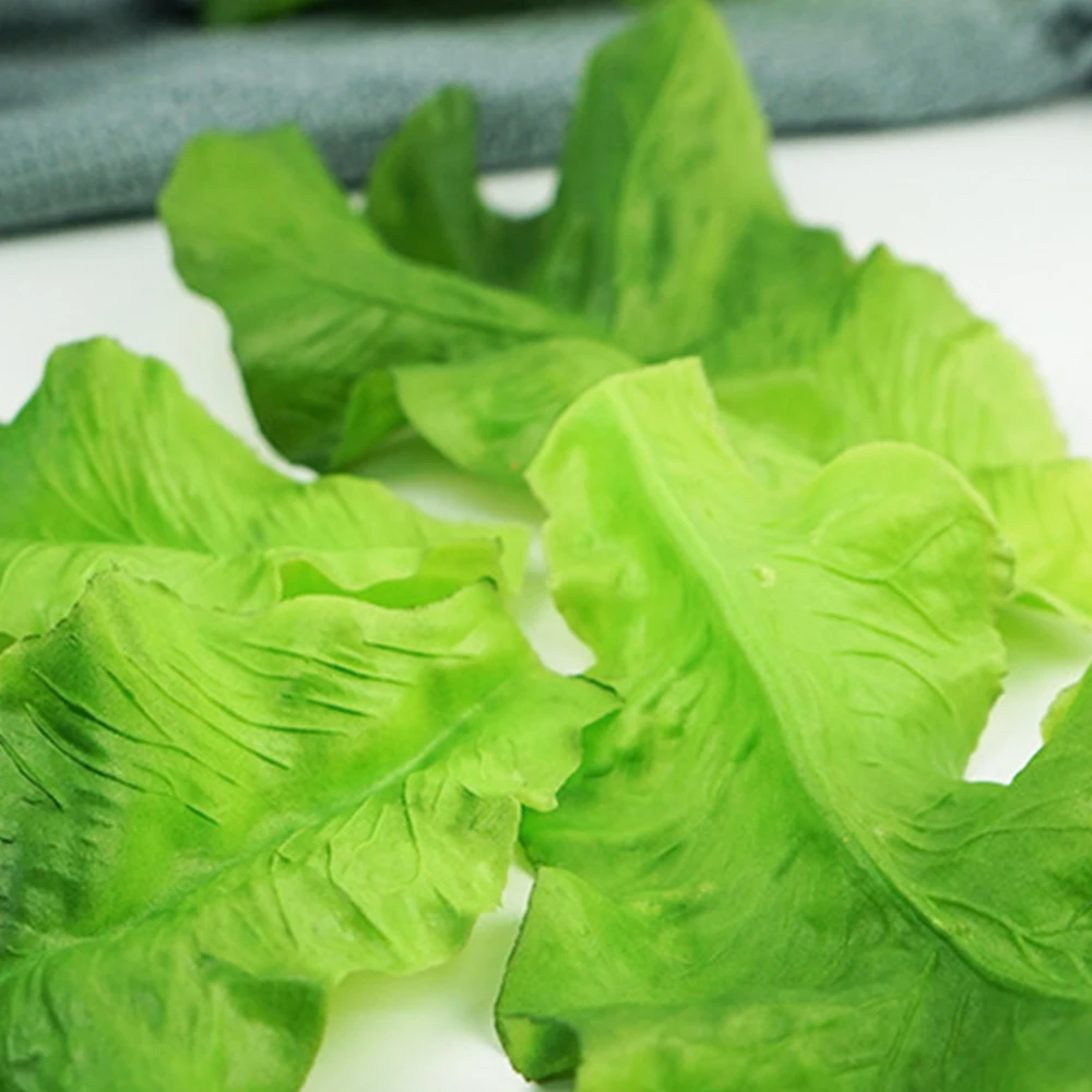 Toy Lettuce