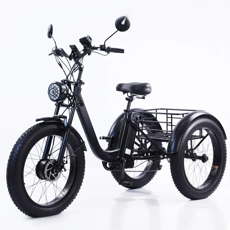 Hot-Selling-24-inch-Fat-Tire-pedal-power-electric-tricycle-thick-tire ...