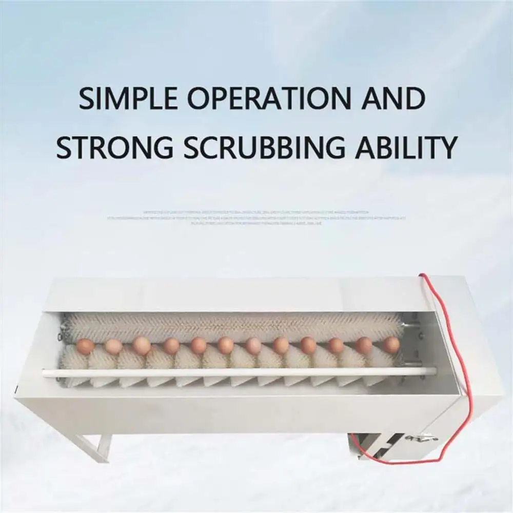 High Efficiency Egg Washing Machine Fully Automatic Egg Cleaning ...