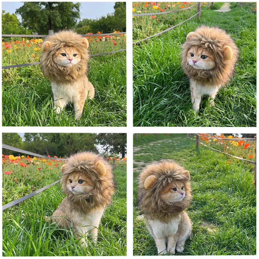 Cute Lion Mane Cat Peruca Lion Head Set Cat Clothes Hat Engraçado Cat ...