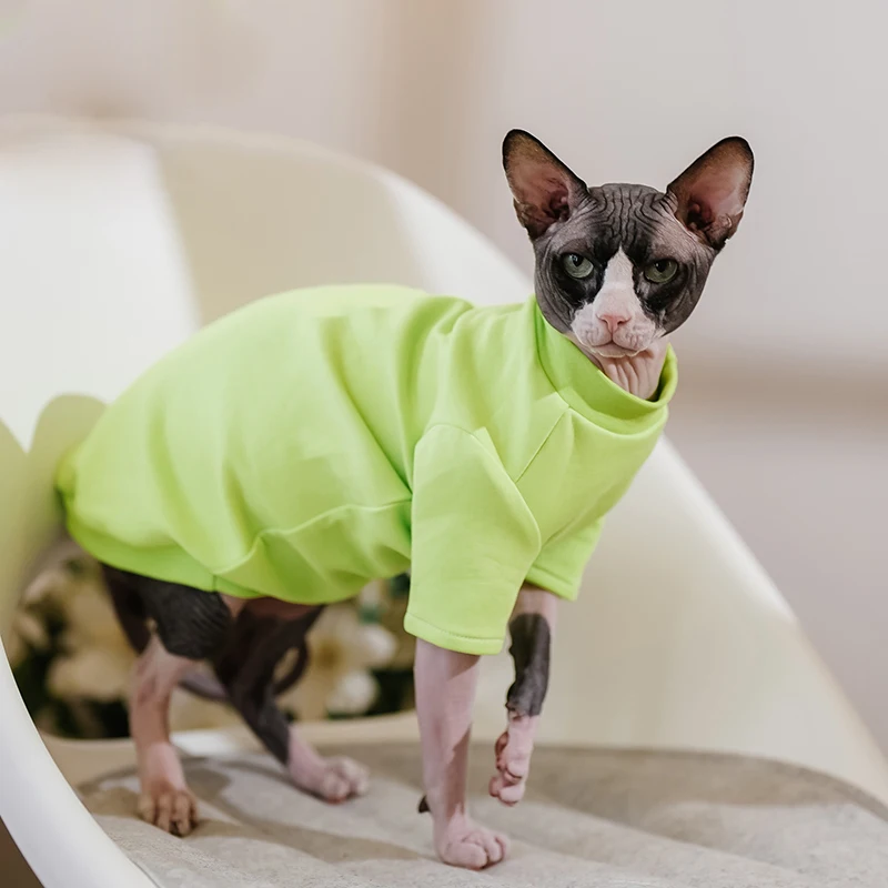 Devon Rex Pet Cat Clothes | Winter Clothes Cat Sphynx | Hoodies Shirt ...