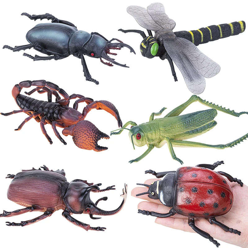 Big Size Wild Insect Animals Model Spider Scorpion Ladybug Dragonfly ...