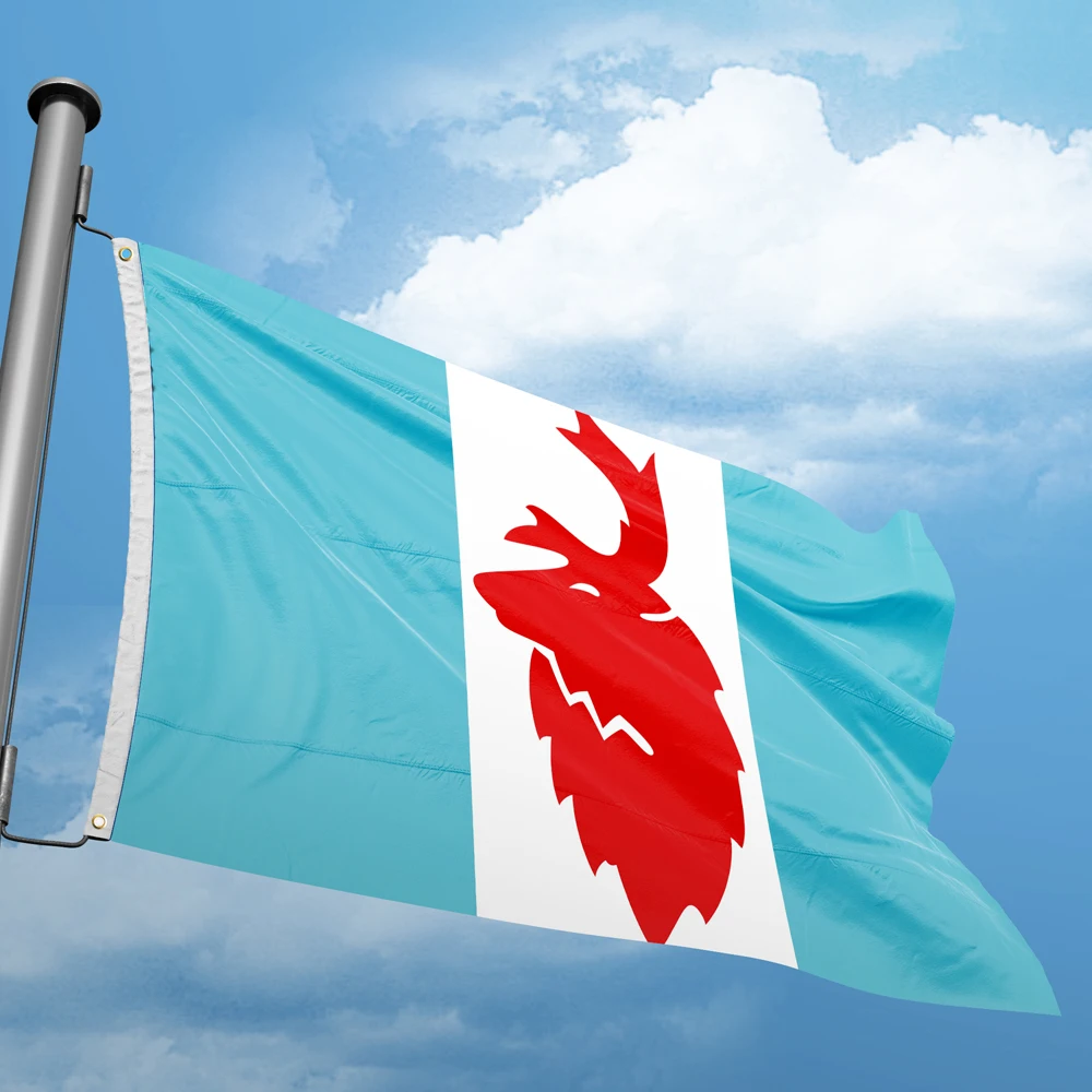 Flag Of Koryak Okrug 3*5ft 90*150cm Flags Federal Subjects Russia ...