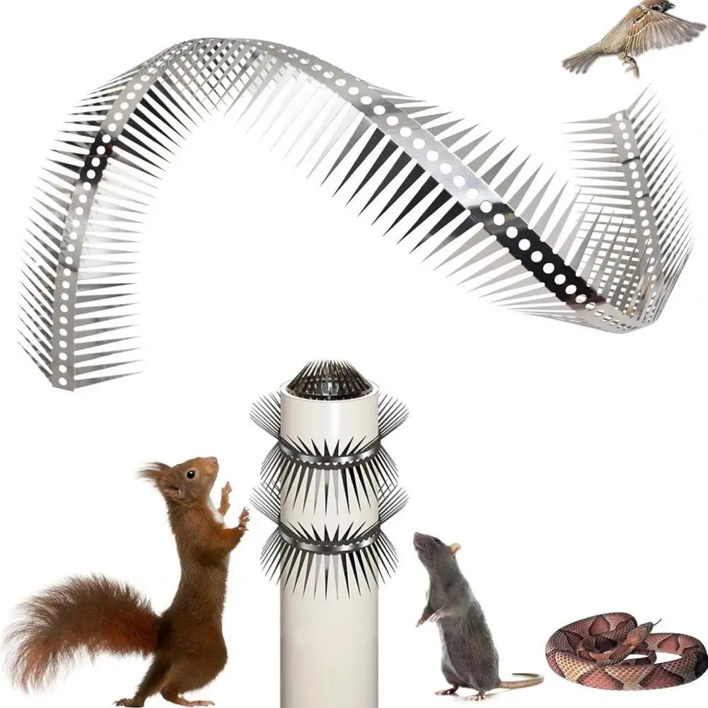 1 Set Anti-Rat Spikes Stainless Steel Bird Deterrent Spikes with Ties ...