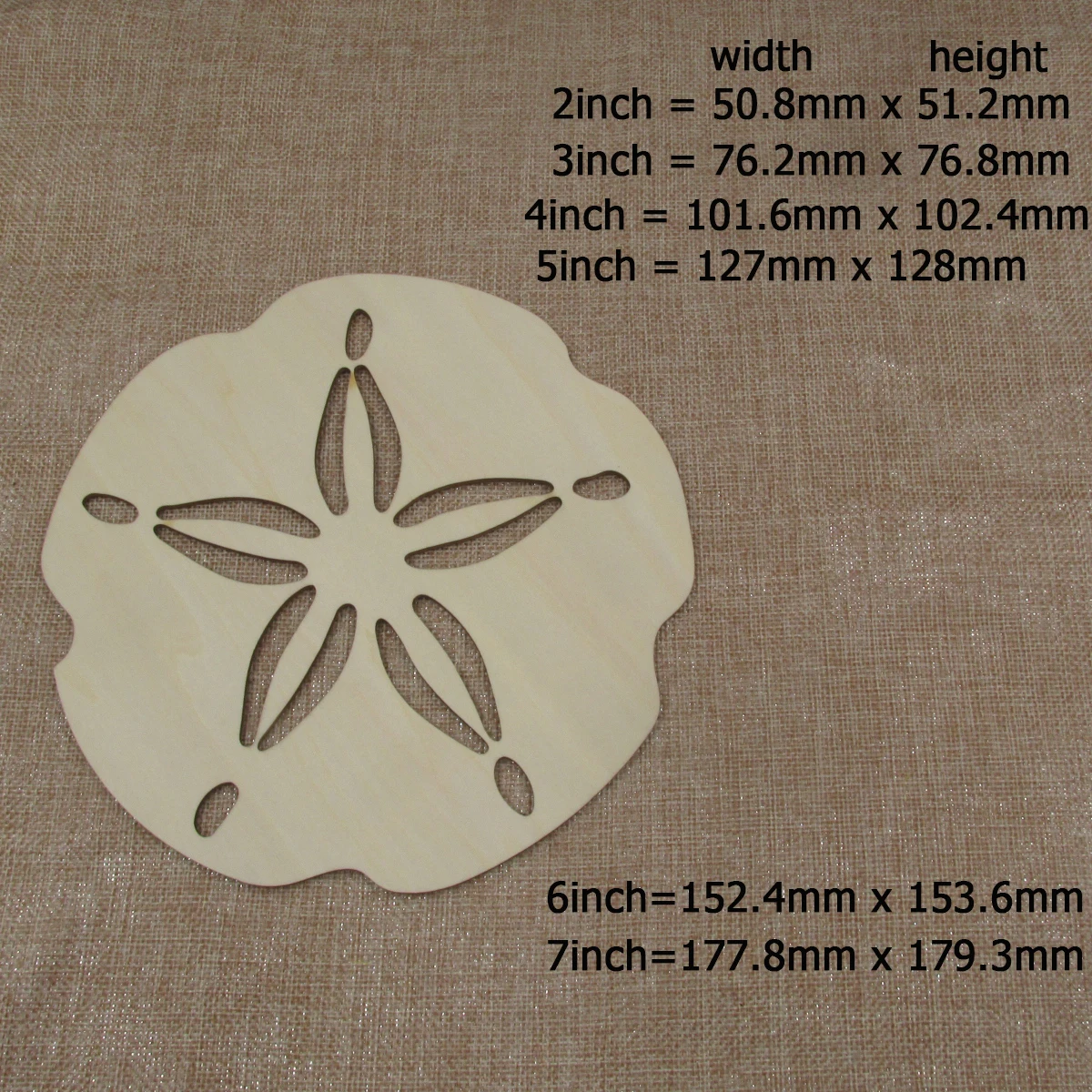 Sand Dollar Stencils