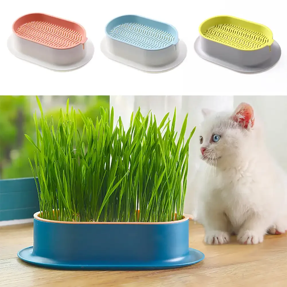 Pet Cat Grass Potted Hydroponic Plant Seedling Tray Growing Pot ...