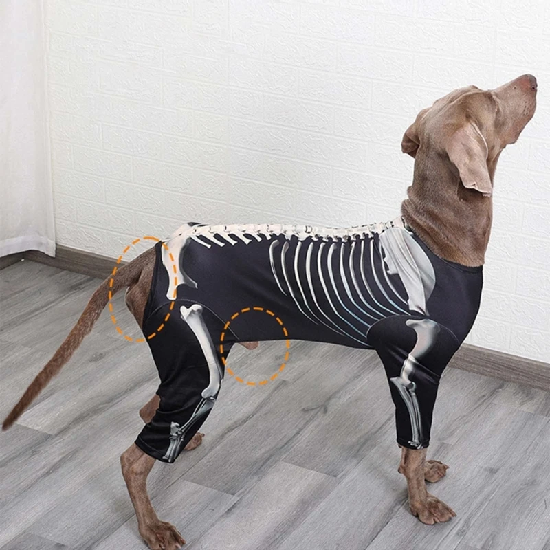 Large Dog Skeleton Costume