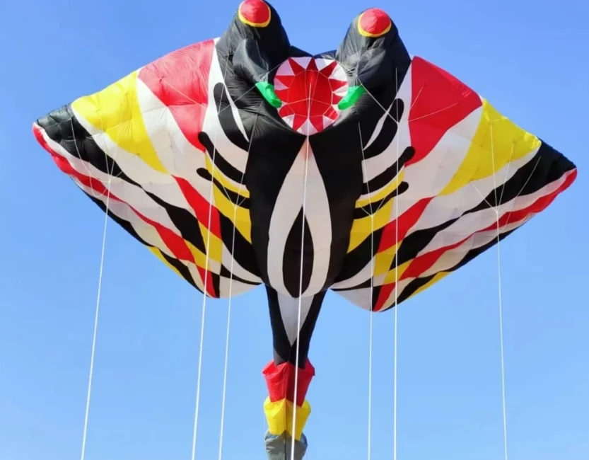 12m-Soft-kite-multi-color-fabric-splicing-skate-pendant-kite-giant-soft ...