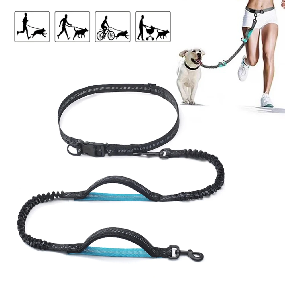 Dog Leash Dual Stretch Reflective Running Belt Leader Leash Portable ...