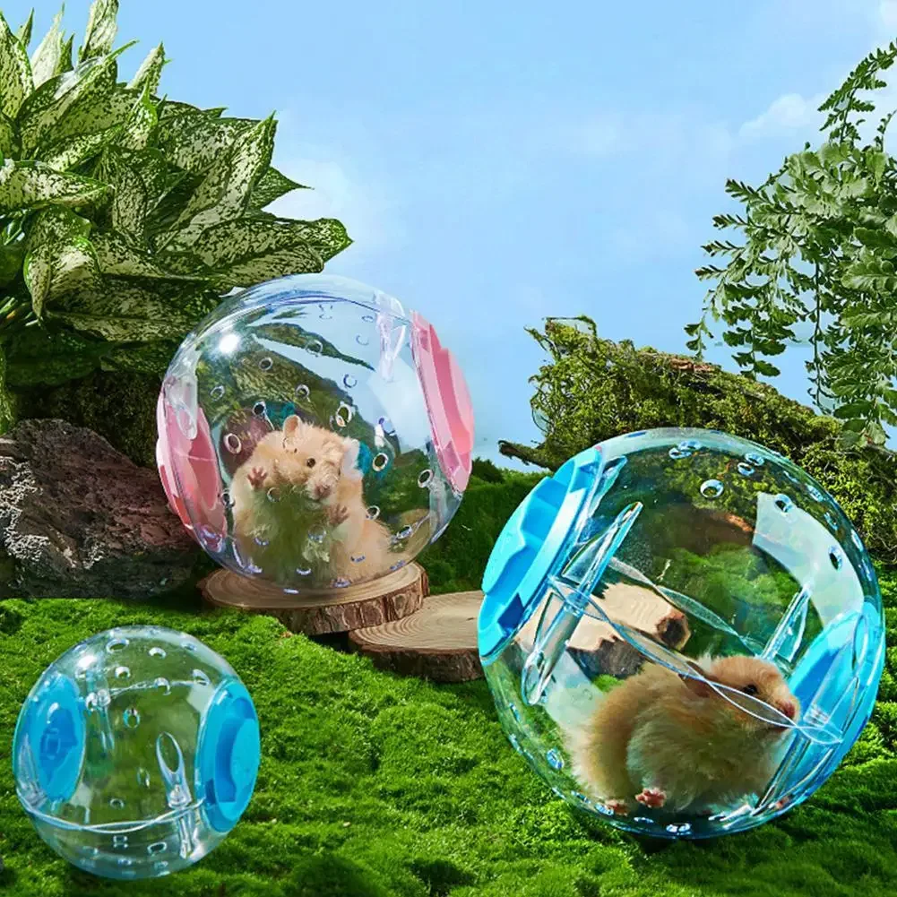 Transparent Sport Ball Grounder Rat Small Pet Mice Jogging Ball Toy ...