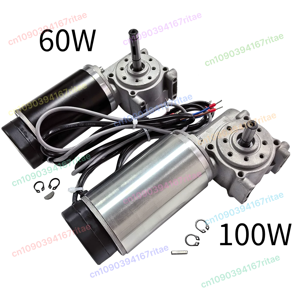 One Pieces DC24V 60W/100W Hall Encoder Motor with Worm Gear for ...