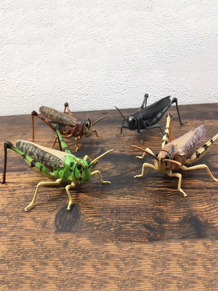 Gashapon-Toy-Capsule-Insect-Model-Assembled-Locust-Grasshopper ...