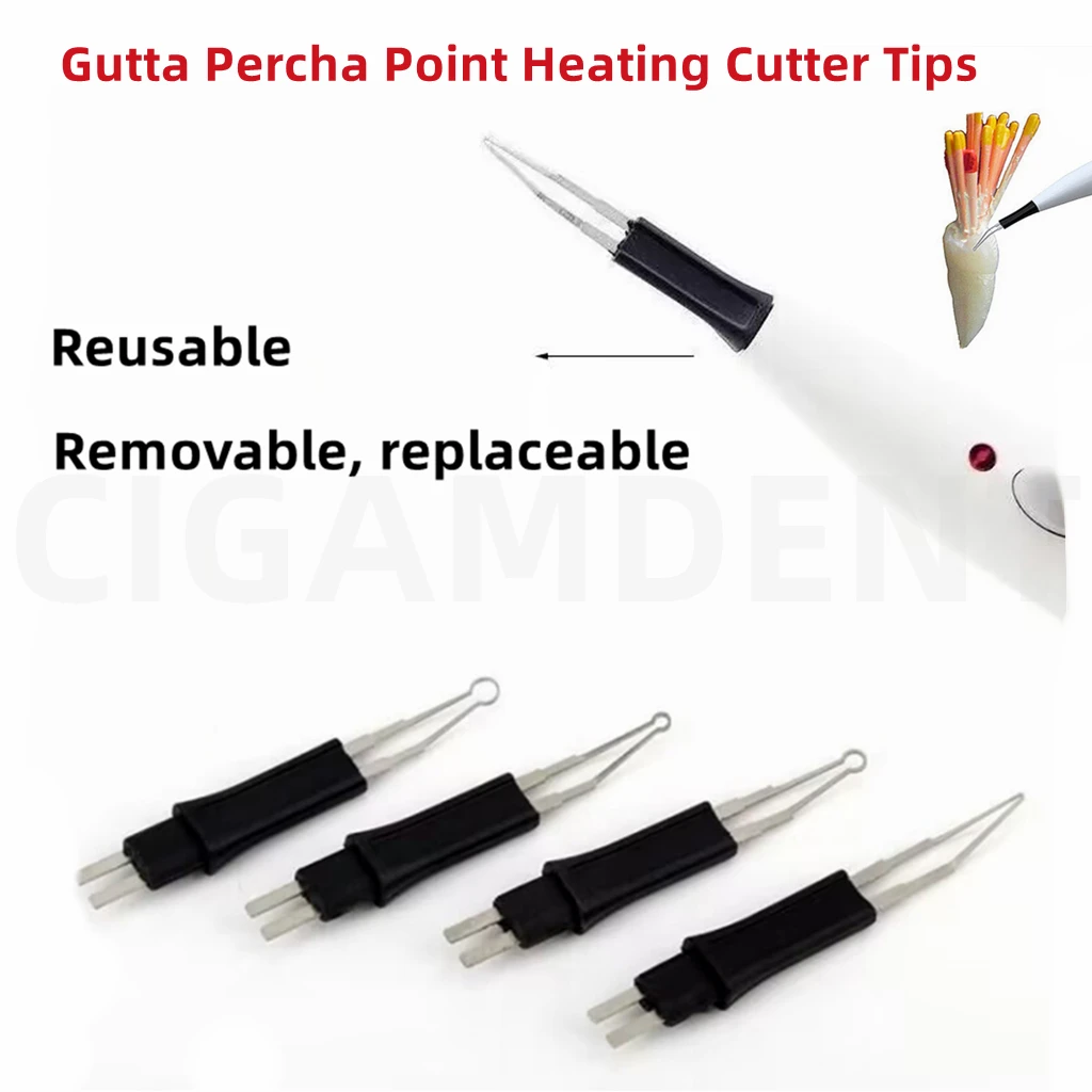 4-Tips-Oral-Dental-Gutta-Percha-Tooth-Gum-Cutter-Endo-Gutta-Cutter ...