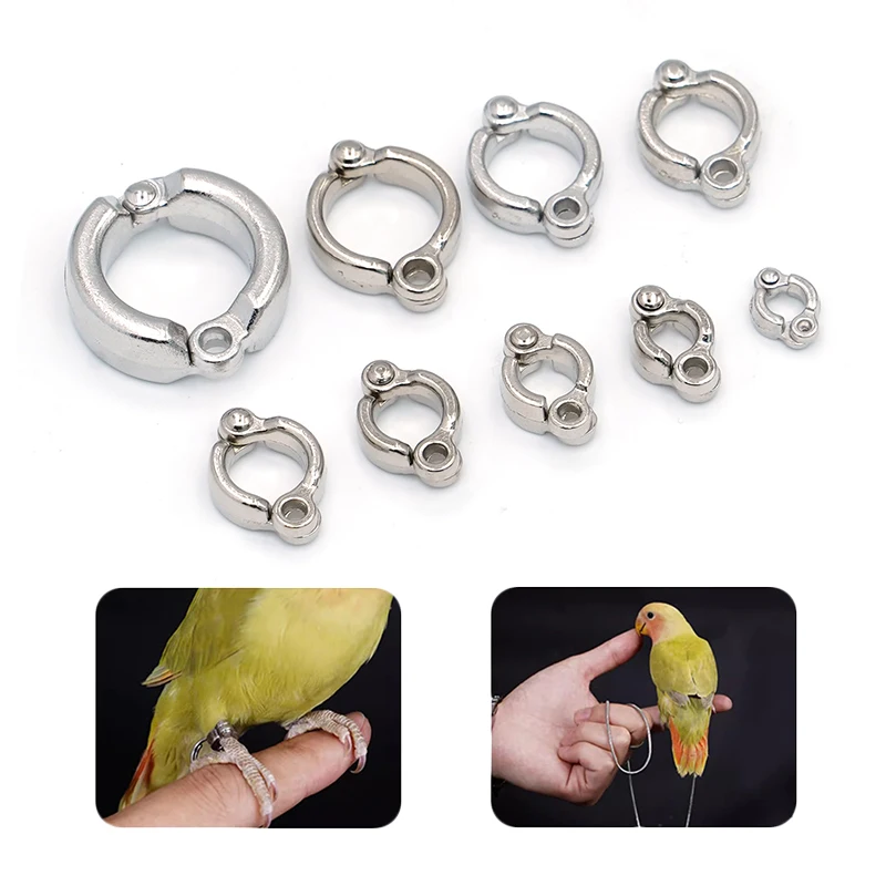 Stainless-Steel-Parrot-Leg-Ring-Ankle-Anklet-Outdoor-Flight-Training ...