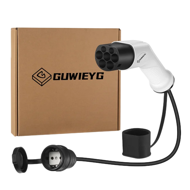 GUWIEYG EV GLOBAL Store