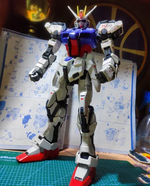 Pg Gundam Custom