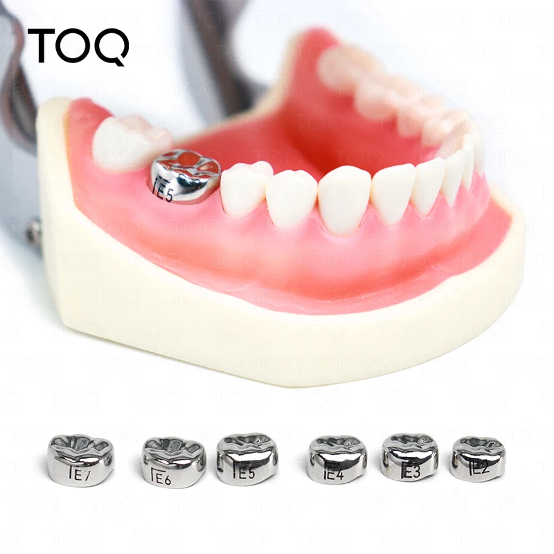 48-Uds-Dental-primaria-Molar-corona-dientes-1st-2nd-preformado-Kit-de ...