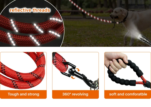 How To Treat Rope Burn From Dog Leash