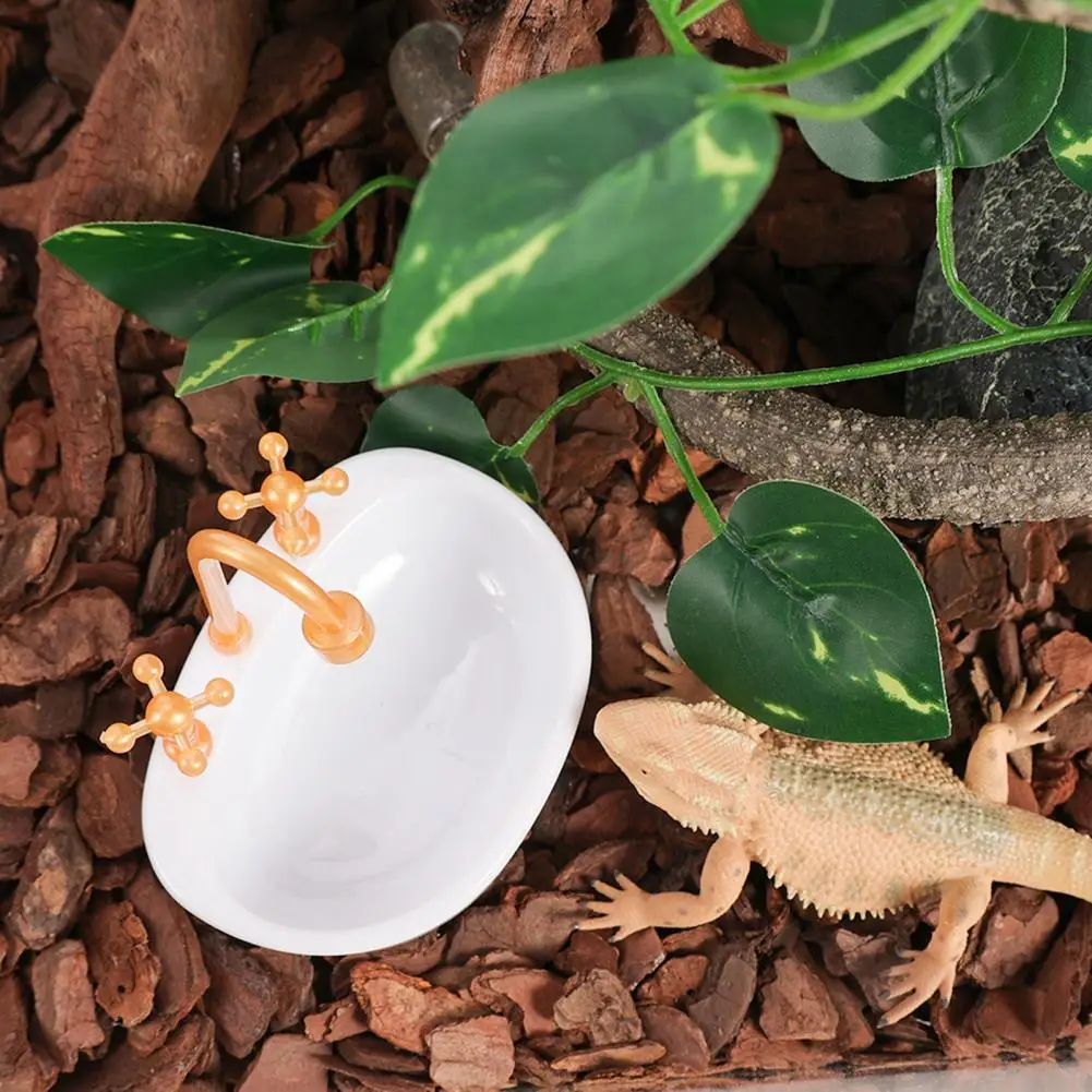 Turtles-Lizard-Tortoise-Food-Bowl-Durable-Feeding-Bowl-Set-for-Lizards ...