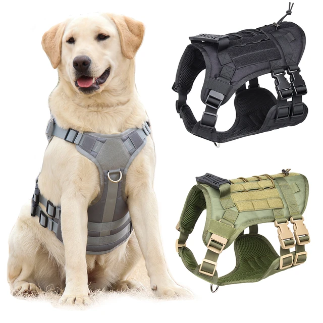 Buy Labrador Harness Online In India India, 57% OFF