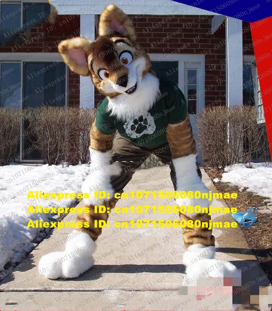 Furry Fox Wolf Snow