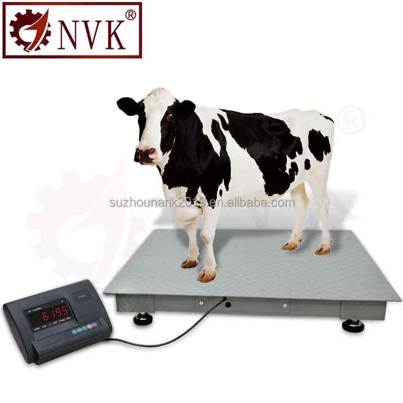 NVK-Digital-weight-3-ton-electric-warehouse-A12E-platform-scales-heavy ...