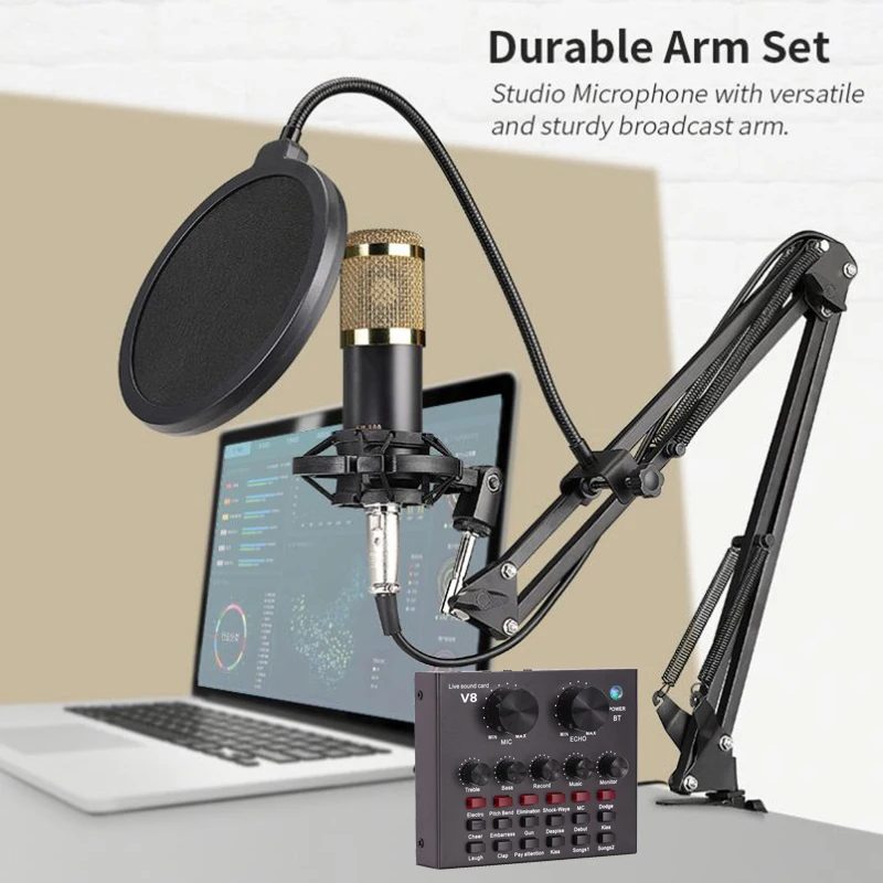 Recording Studio Microphone