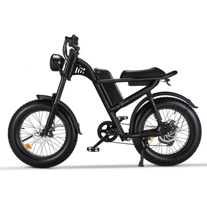 E-Bike Shipping Boxes: What You Need to Know Before Buying a 48V 15Ah ...