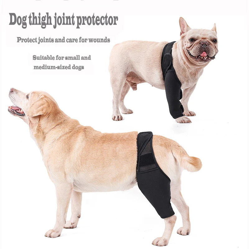 Pet leg joint injury fixed protective gear knee pads Disabled dogs leg ...