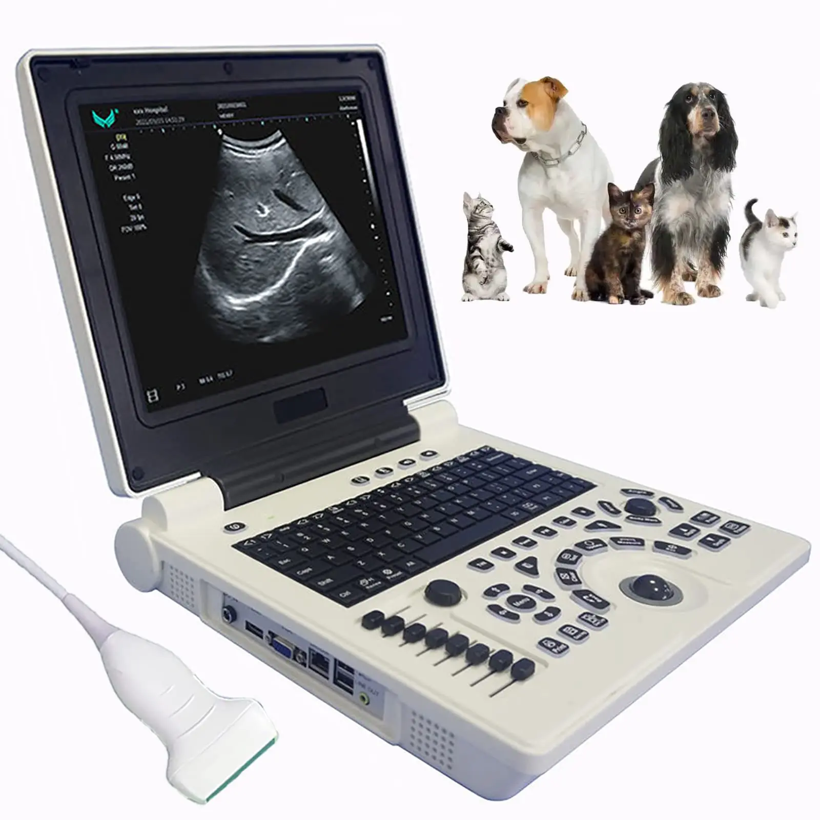 Mesin Hewan Pemindai Ultrasound Laptop 12 Inci Portabel Hitam Putih mesin-hewan-pemindai-ultrasound-laptop-12-inci-portabel-hitam-putih