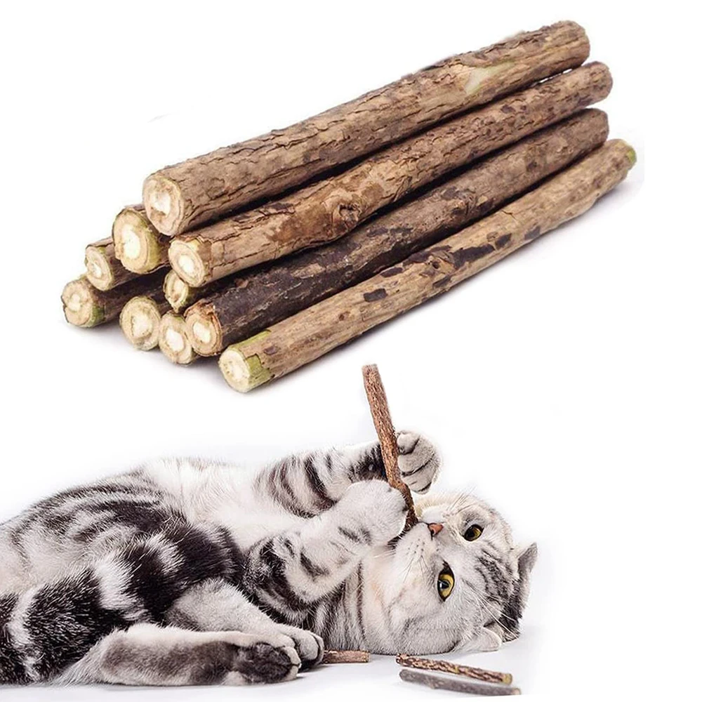Natural Silvervine Sticks Cats | Cat Catnip Natural Chew Sticks - Cat ...