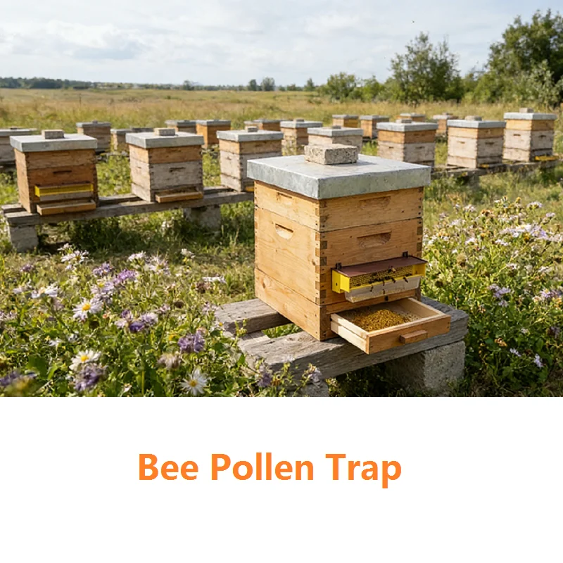 Plastic Bee Pollen Trap with Ventilated Removable Pollen Tray Collect ...