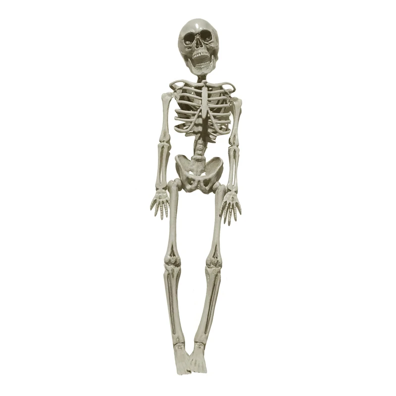 15-7-Inches-Halloween-Human-Skeleton-Horror-Holiday-Prop-Decoration ...