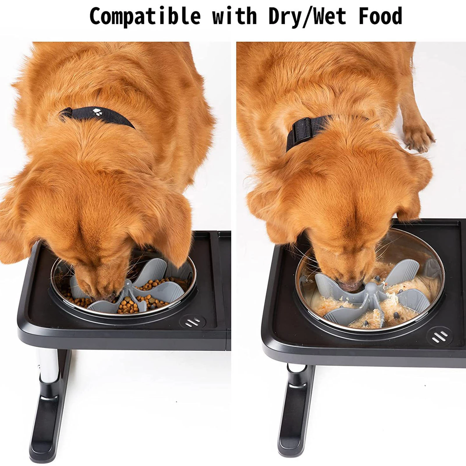 Are Slow Feeders Good For Dogs