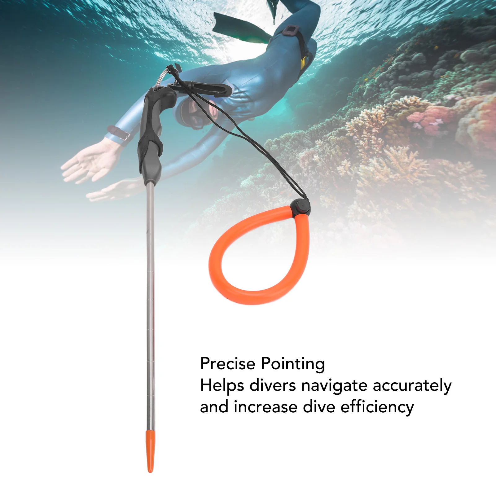 Scuba-Diving-Stick-316-Stainless-Steel-Noise-Maker-Lobster-Tickle-Stick ...