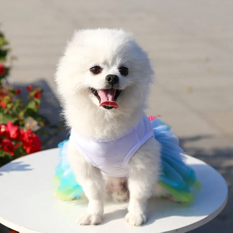 Sweet Princess Dress For Cute Dogs – DogMega.Com