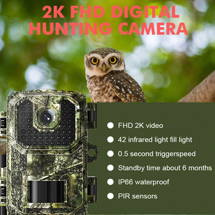 Nova wildlife track camera invisível visão noturna infravermelha ...