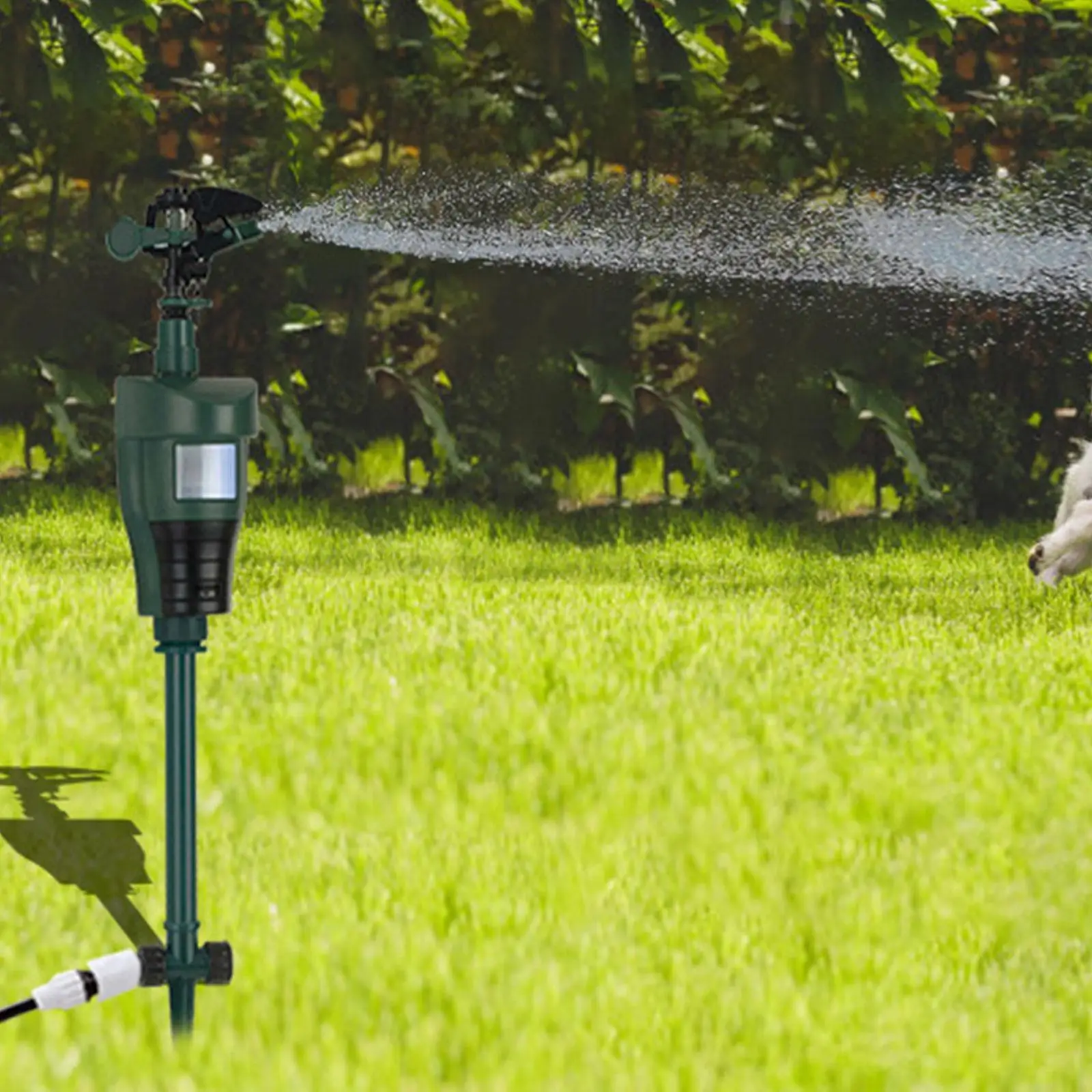 Adjustable Garden Sprayer Motion Sensor Water Jet Animal Deterrent for ...