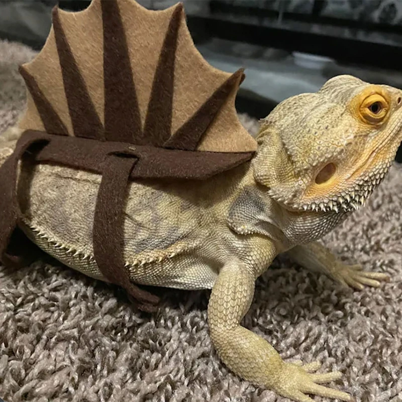 Cute Bearded Dragon Costumes