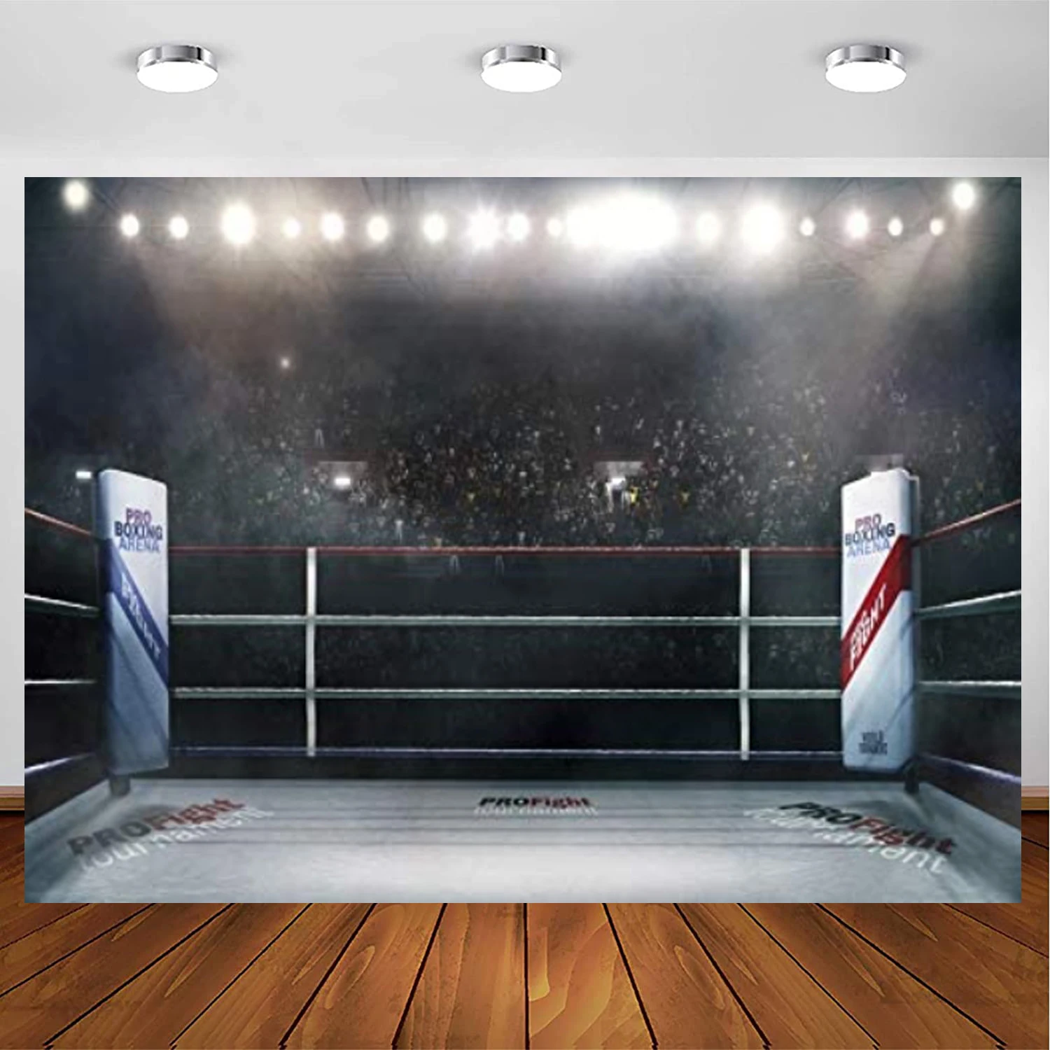 Fighting Arena Background