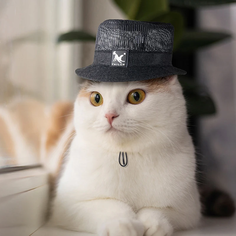Top Doge Hat