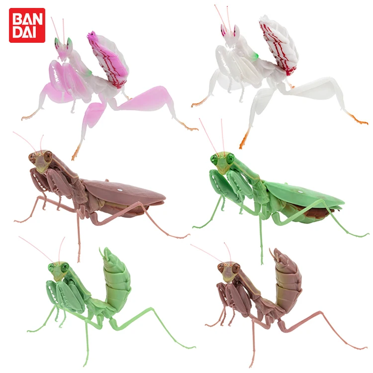 Insect Simulation Model | Mantis Insect Model | Model Ornament Toys ...