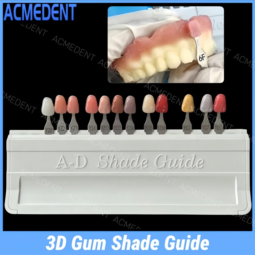Dental Gingiva Aesthetic 3D Gum Shade Guide Pink Print Denture Base ...