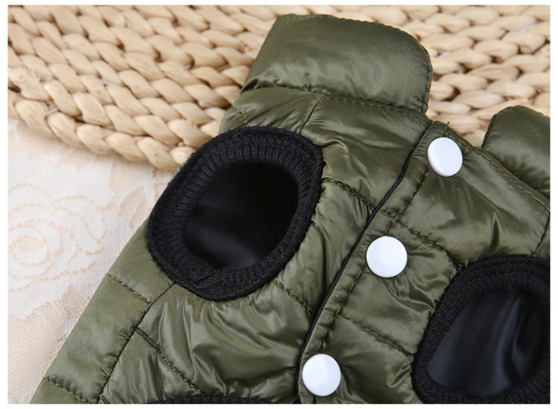 Wind Jacket – Keep The Dog Warm When Going Out – DogMega.Com
