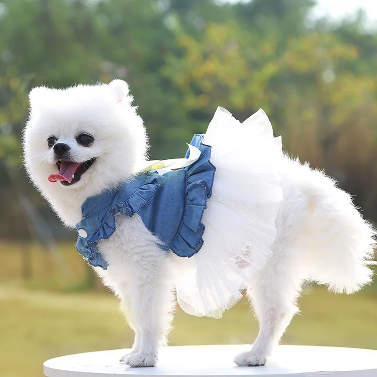 Sweet Princess Dress For Cute Dogs – DogMega.Com